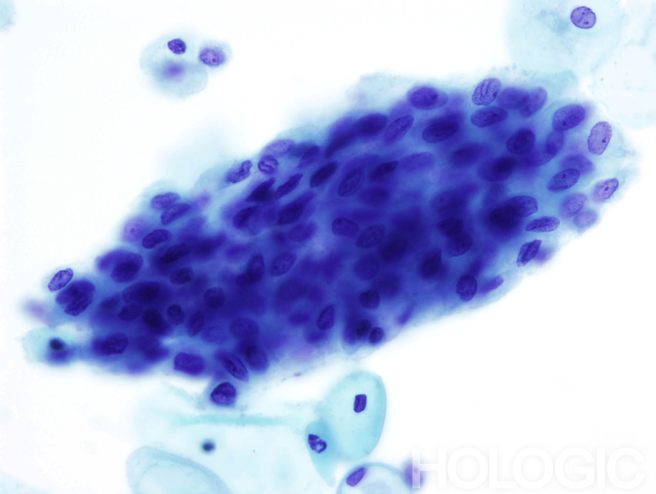 filecloudserver - Blog